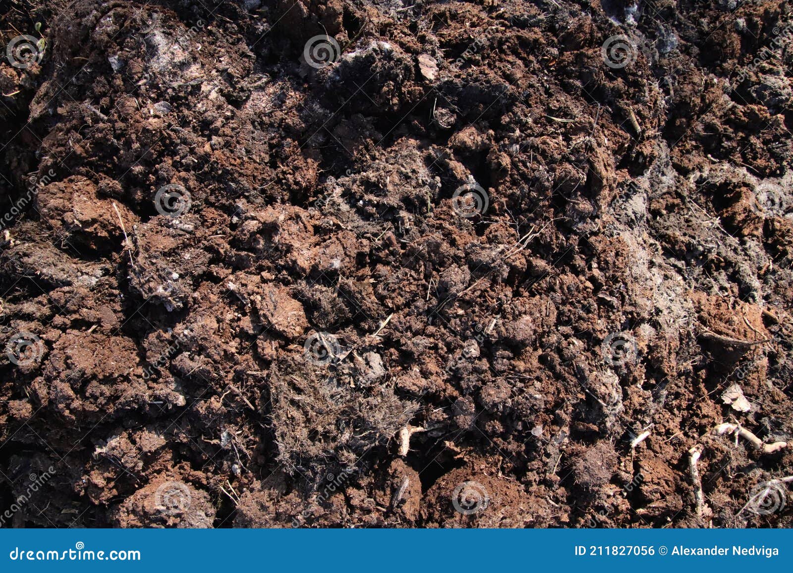 Dirt Backdrop. Ground Background Stock Photo - Image of texture, dirt ...