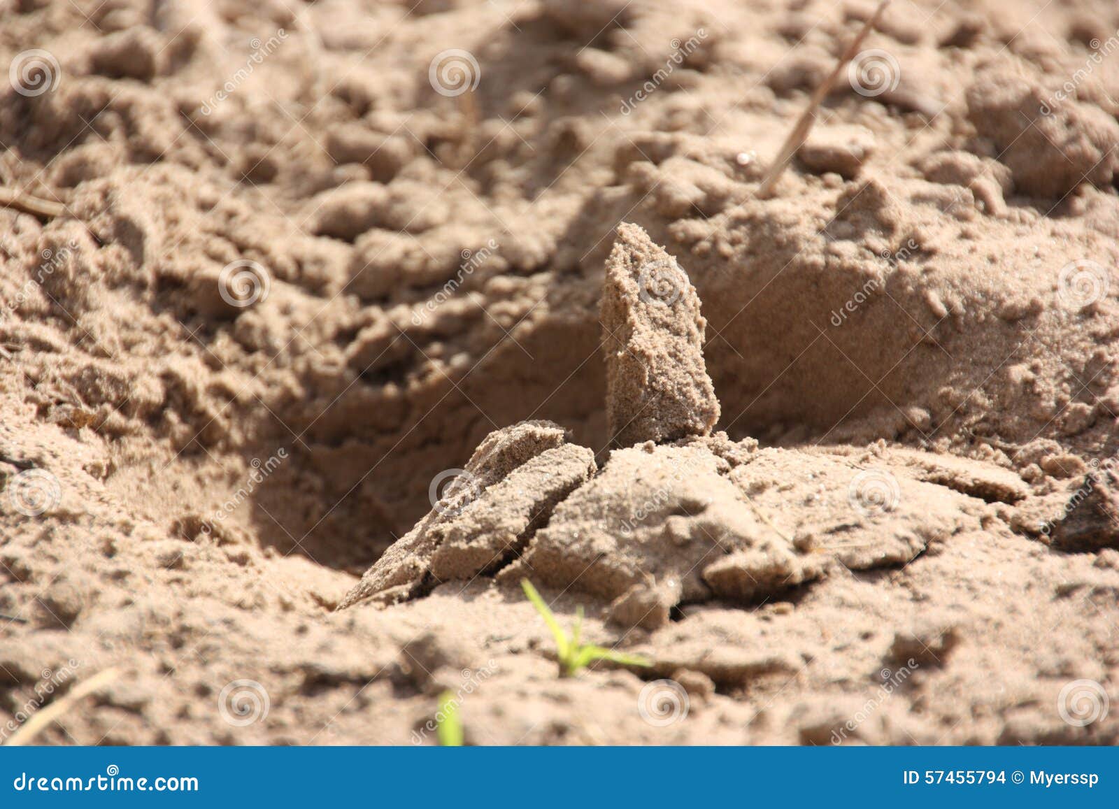 Dirt stock photo. Image of dirt, brown, details, macro - 57455794