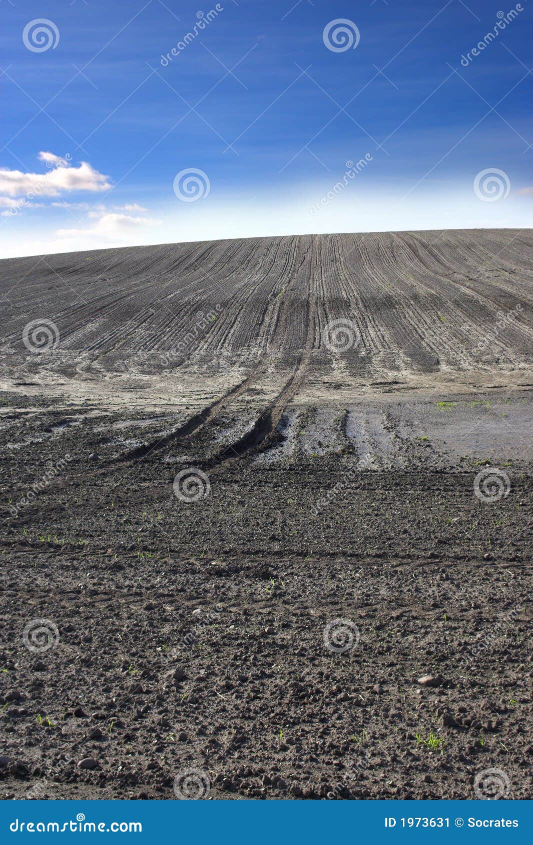 Dirt Fields Picture. Image: 1973631