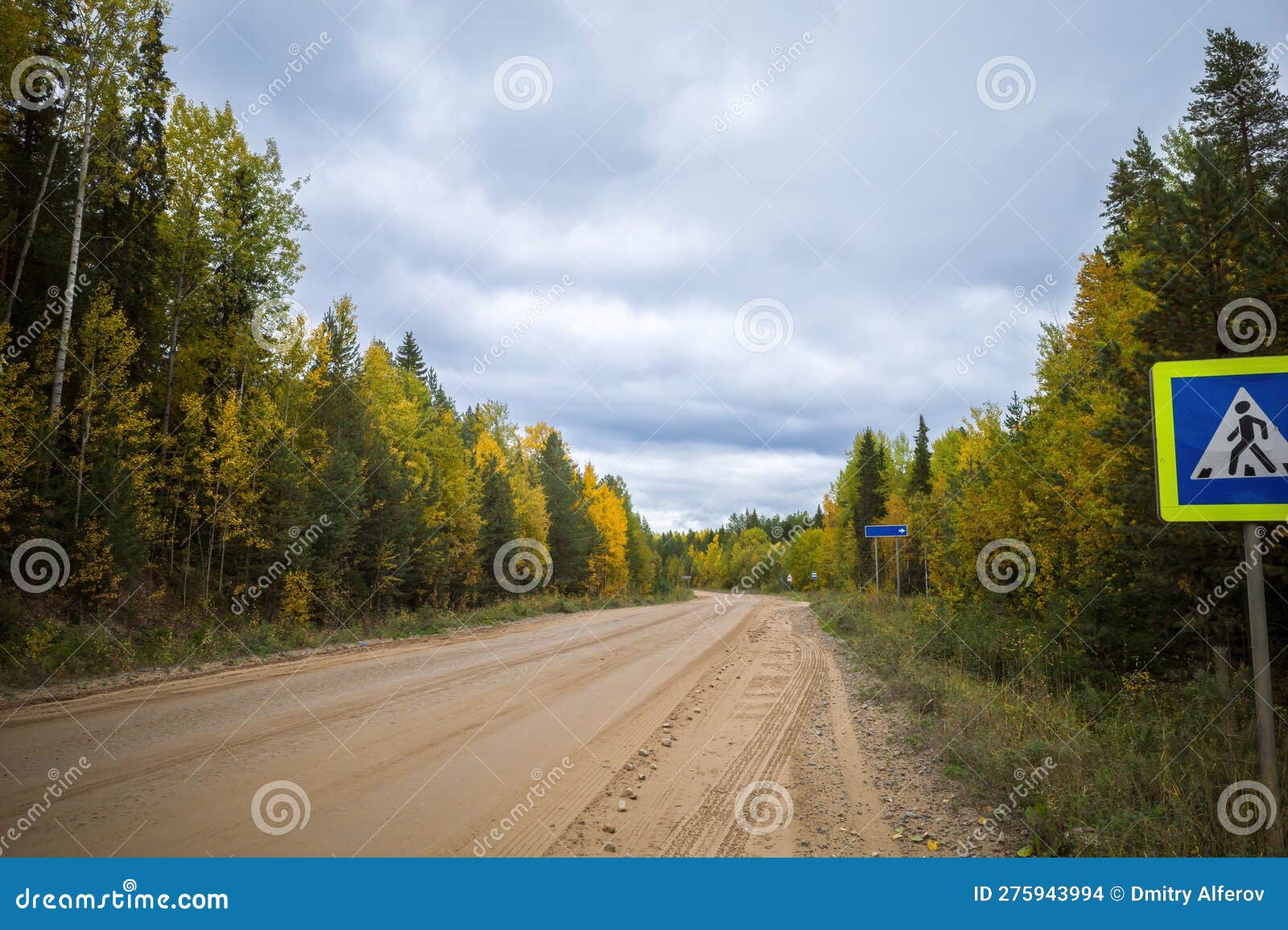 Dirt Forest Road in the Deep Forest Stock Photo - Image of drive, dirt ...