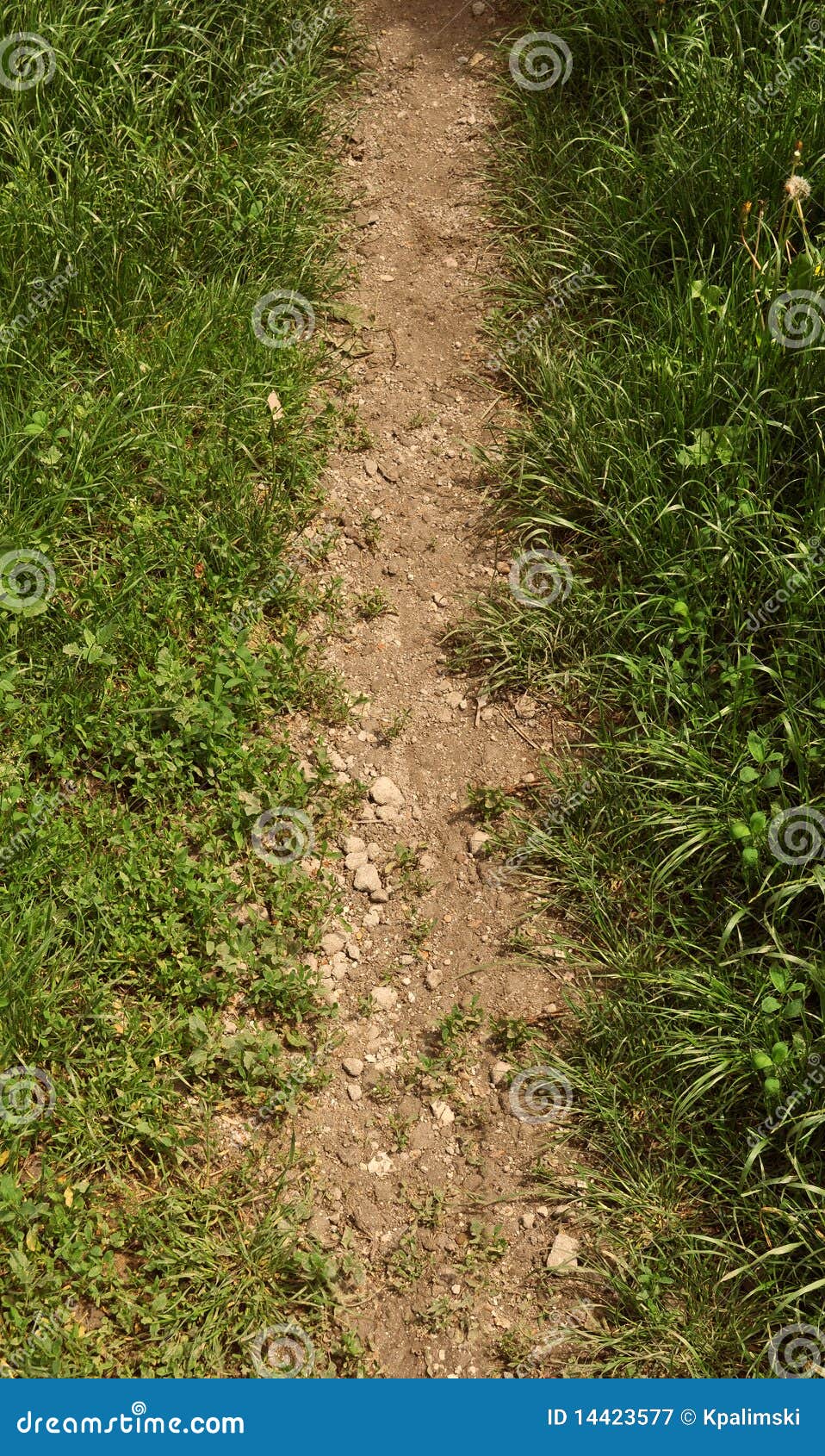 Dirt and grass border path stock image. Image of nature - 14423577