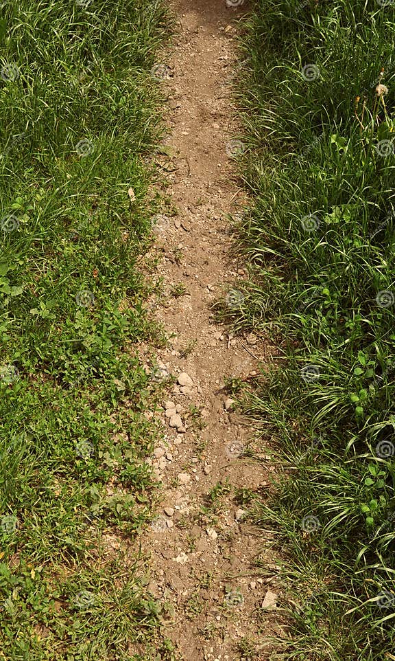 Dirt and grass border path stock image. Image of nature - 14423577