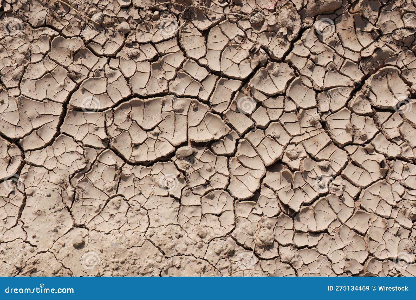 Dirt Ground with Cracks. Sun-cracked Mud Surface Stock Image - Image of ...