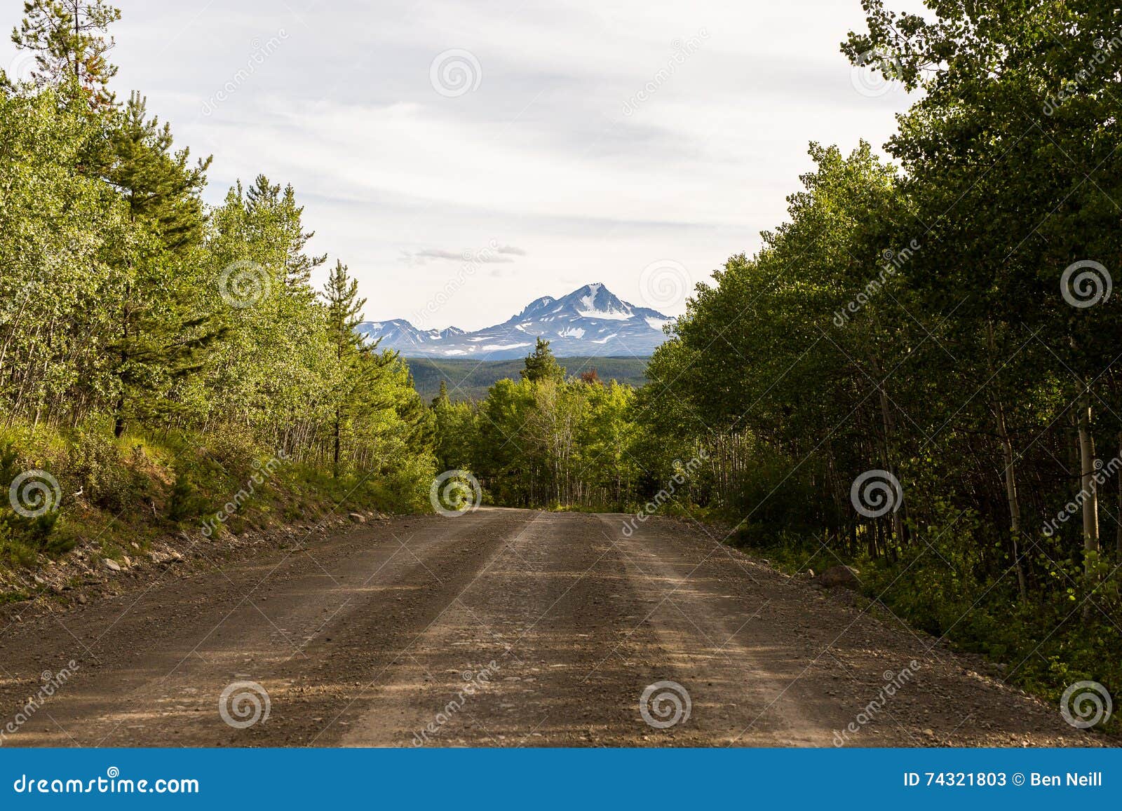 Dirt Logging Road with Distant Mountain Stock Image - Image of snow ...