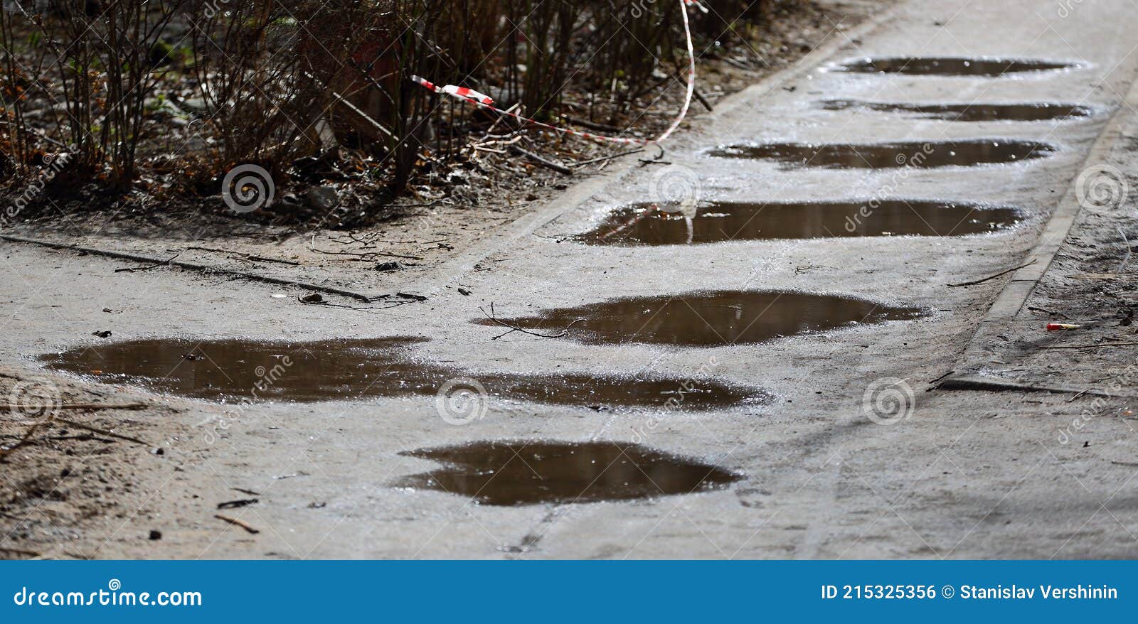 Dirt Park Path with Spring Puddles Stock Photo - Image of surface ...