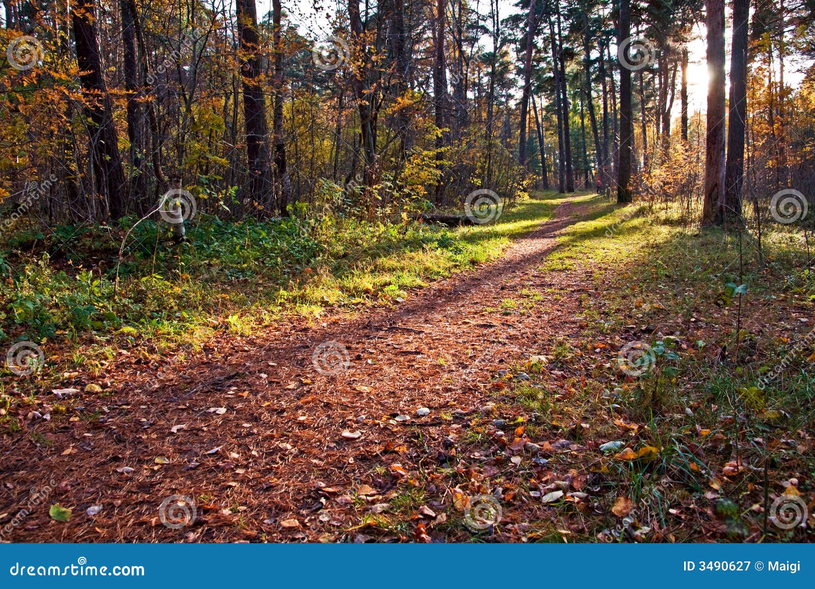 Dirt Path With Wood Fence Tall Grass On The Side Of Trail Royalty-Free ...