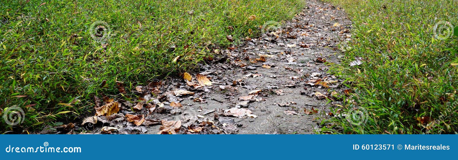 22,129 Path Banner Stock Photos - Free & Royalty-Free Stock Photos from ...