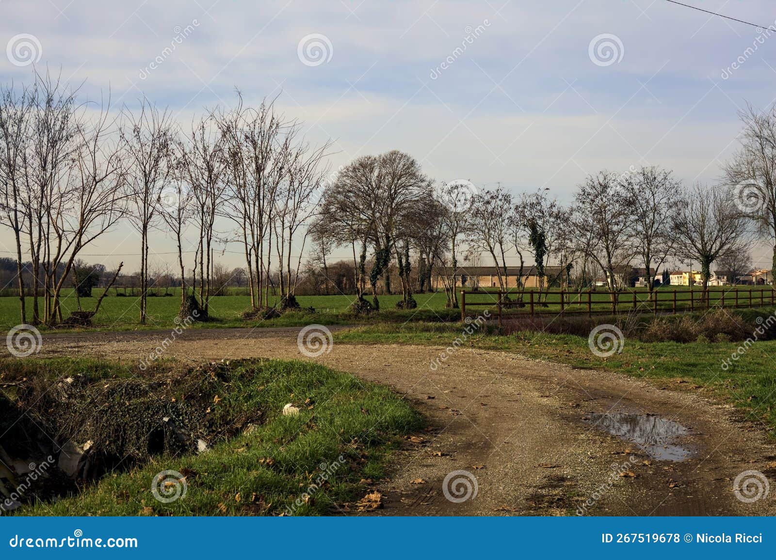 Dirt Path Crossing a Paved Path Next To Bare Trees and Fields in the ...