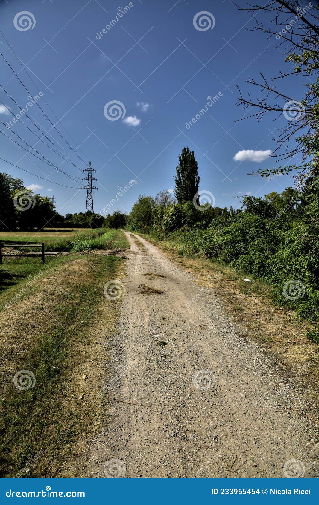 Dirt Path with an Electricity Pylon Bordered by Trees on a Clear Day ...