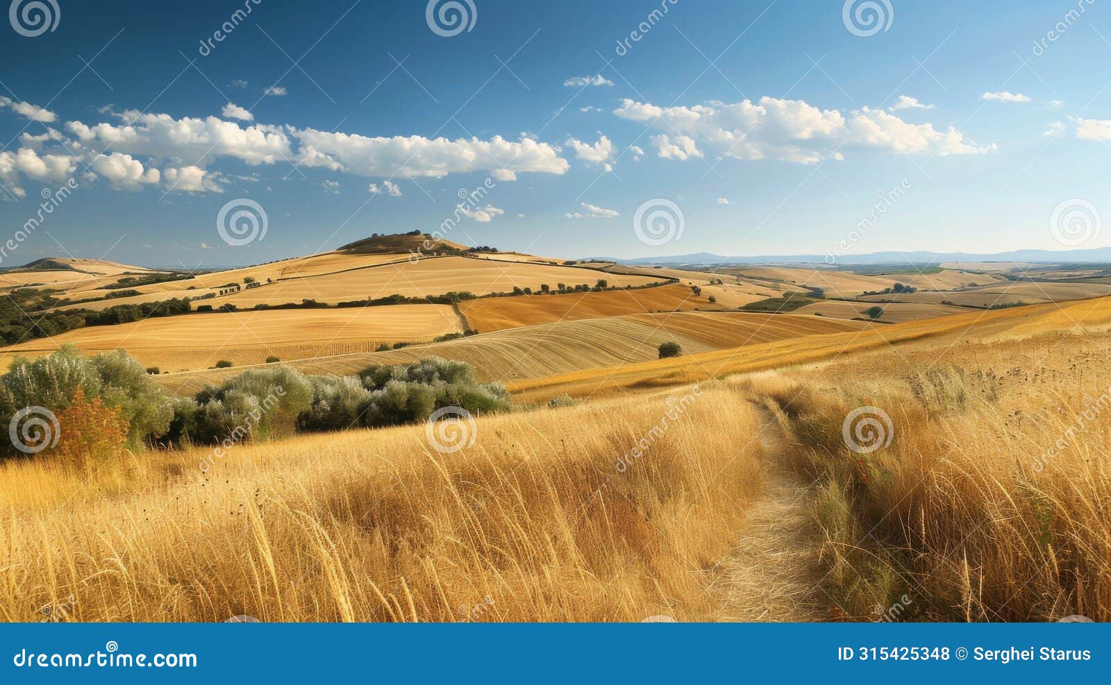 A Dirt Path through a Field of Tall Grass and Trees, AI Stock Photo ...
