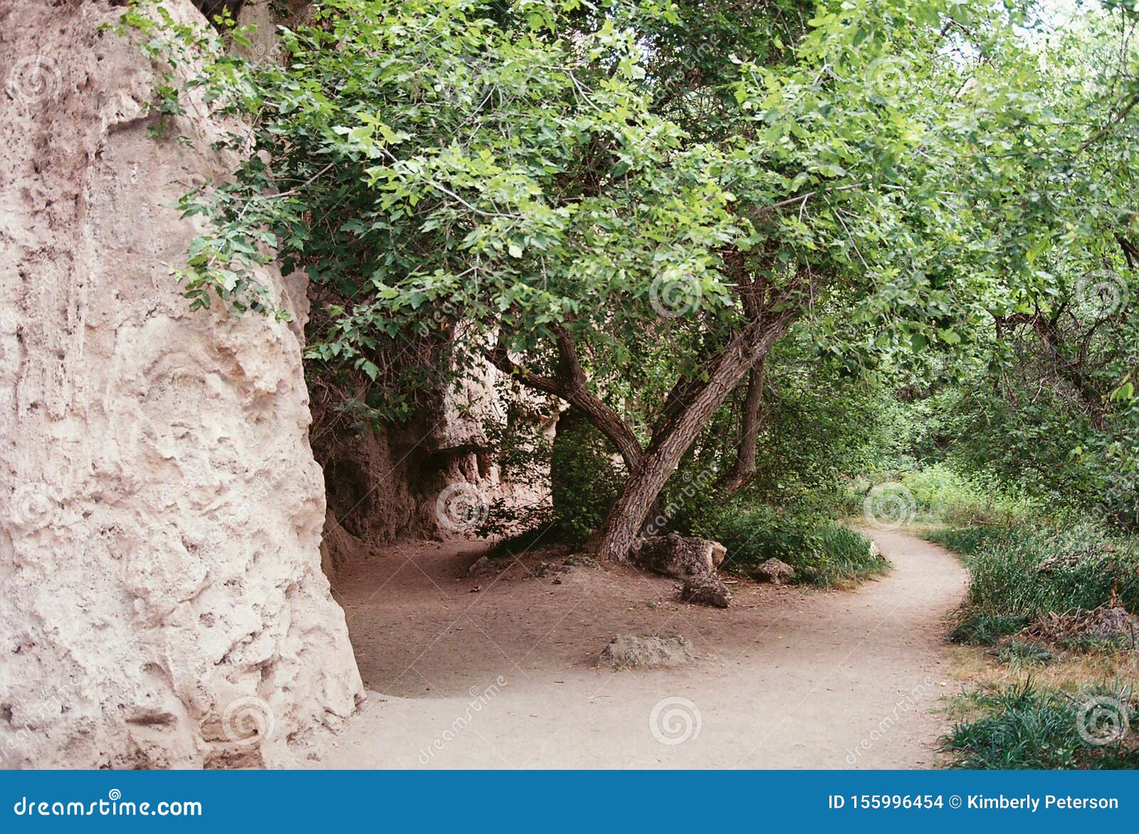 Dirt Path through Forest and Limestone Caves Stock Photo - Image of ...