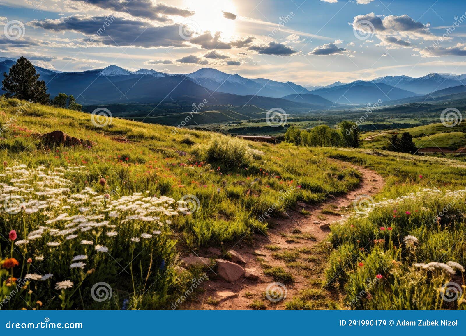 A Dirt Path through a Grassy Field with Mountains in the Background ...