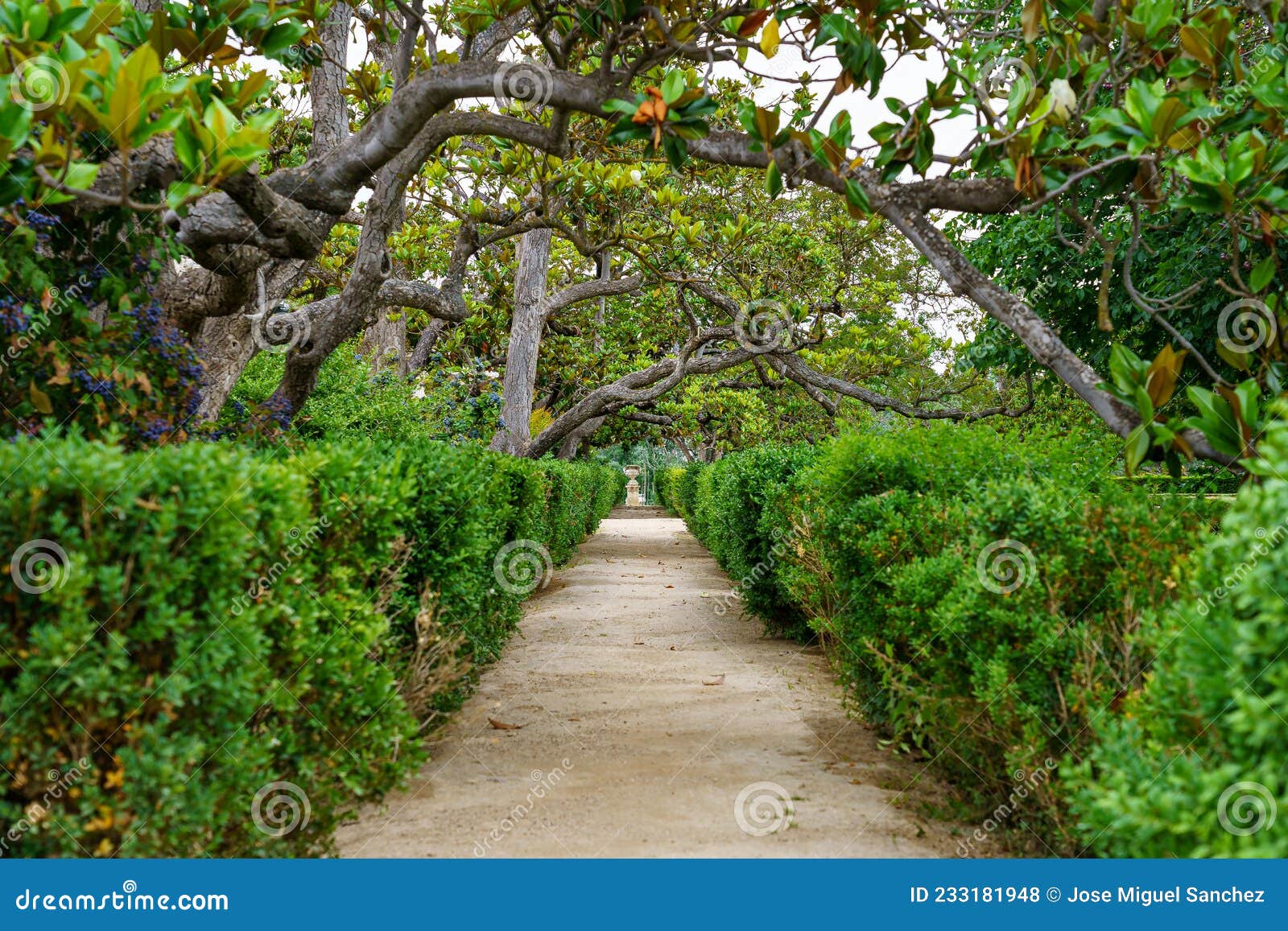 Dirt Path in a Huge Garden with Hedges of Green Bushes and Tree ...