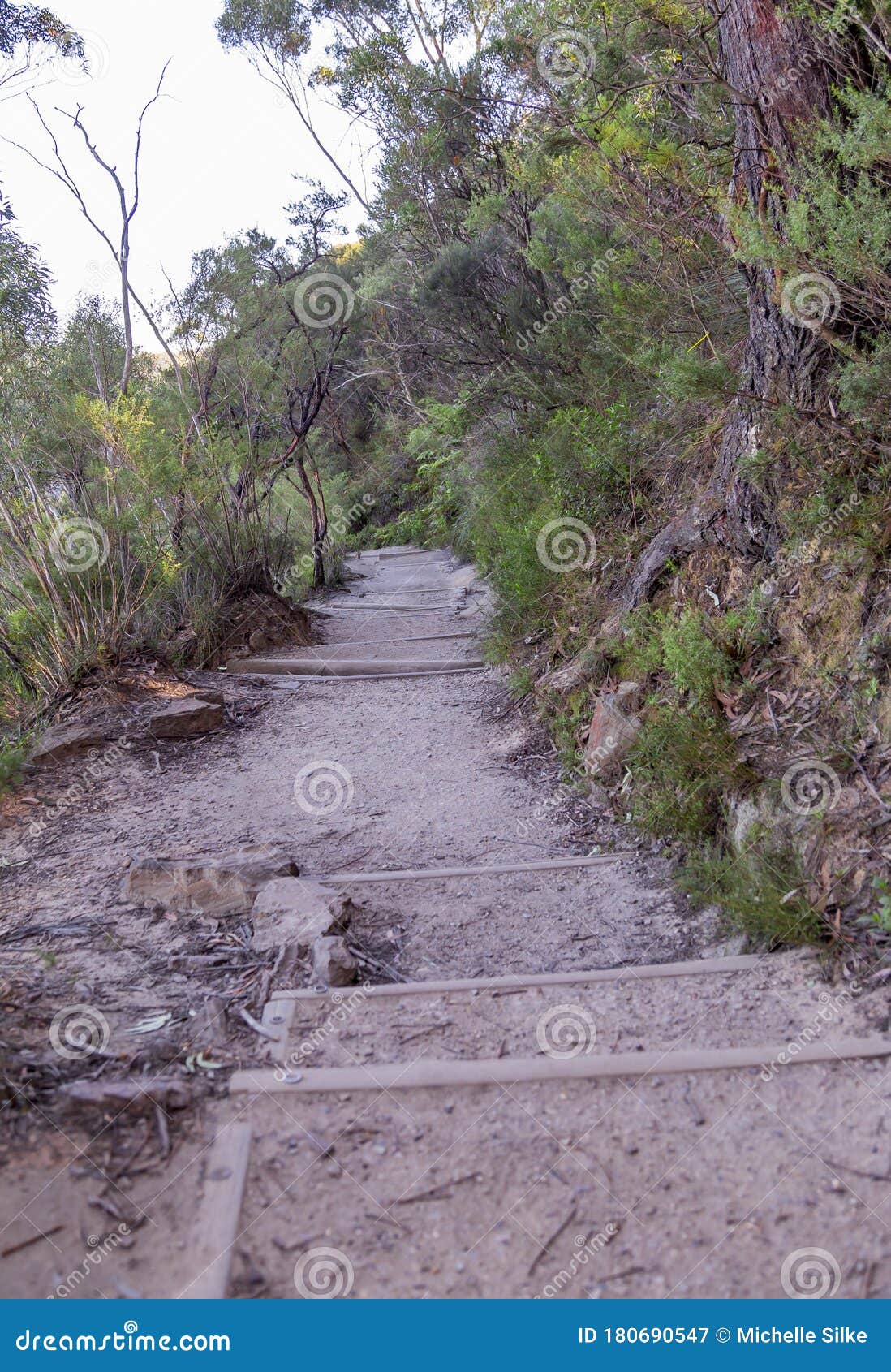 Dirt Path Leading into the Distance Stock Image - Image of country ...