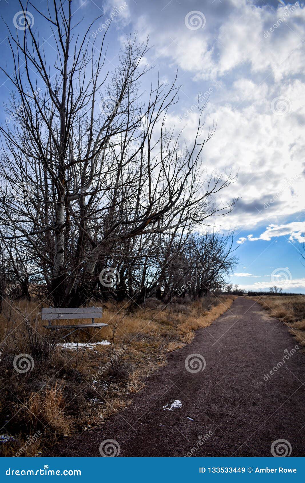 Path Leading Out To the Nature Reserve Stock Image - Image of bluesky ...