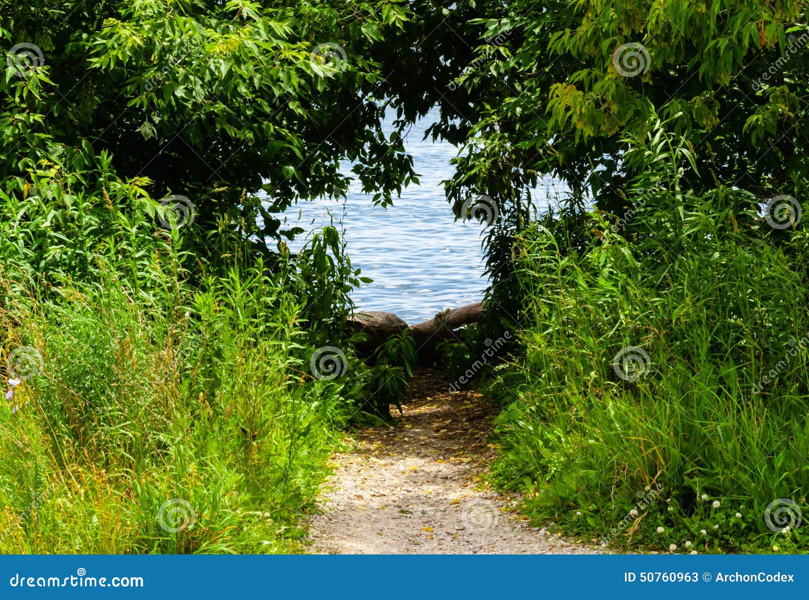 Dirt Path Leading To Water through Shrubs Stock Image - Image of empty ...