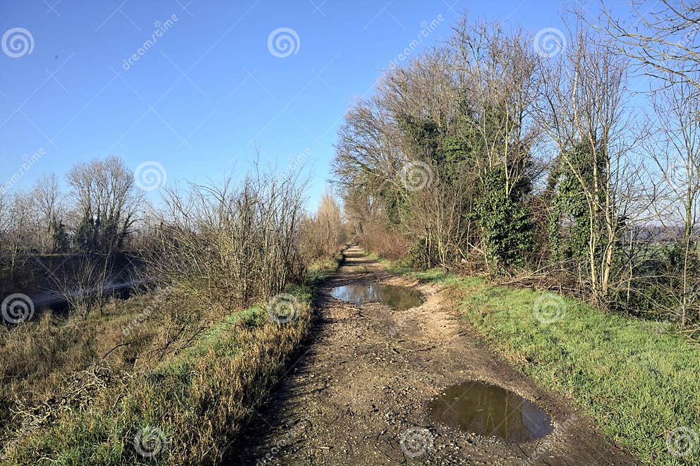 Dirt path with puddles stock photo. Image of ground - 304052990