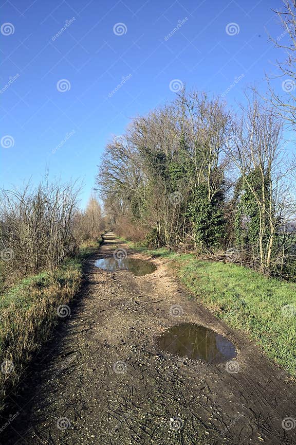Dirt path with puddles stock image. Image of natural - 304053051
