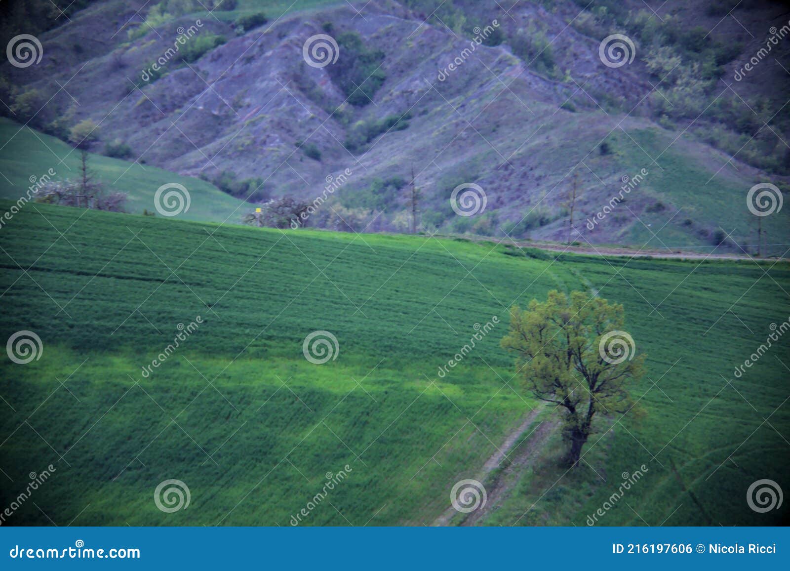 Dirt Path on the Side of a Hill with a Tree by the Edge of it Stock ...