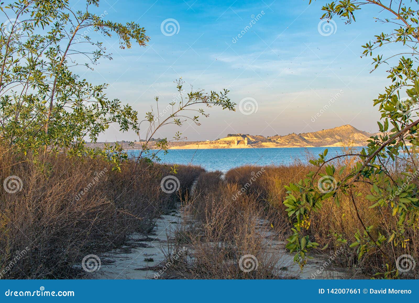 Path Surrounded by Vegetation Leading To the Lake Stock Image - Image ...