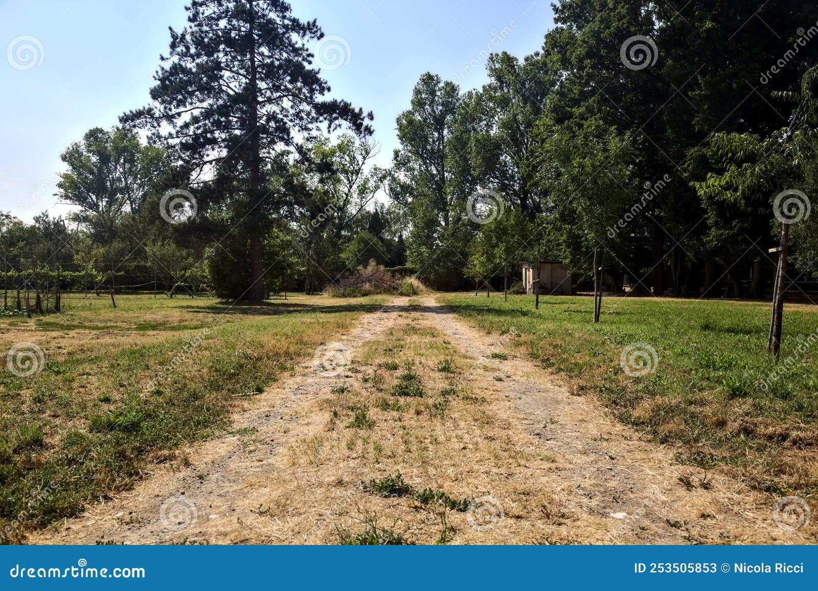 Dirt path with trees stock image. Image of natural, blue - 253505853