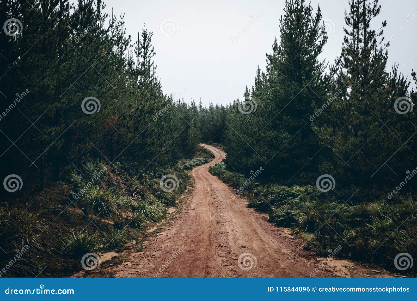 Dirt Road Picture. Image: 115844096