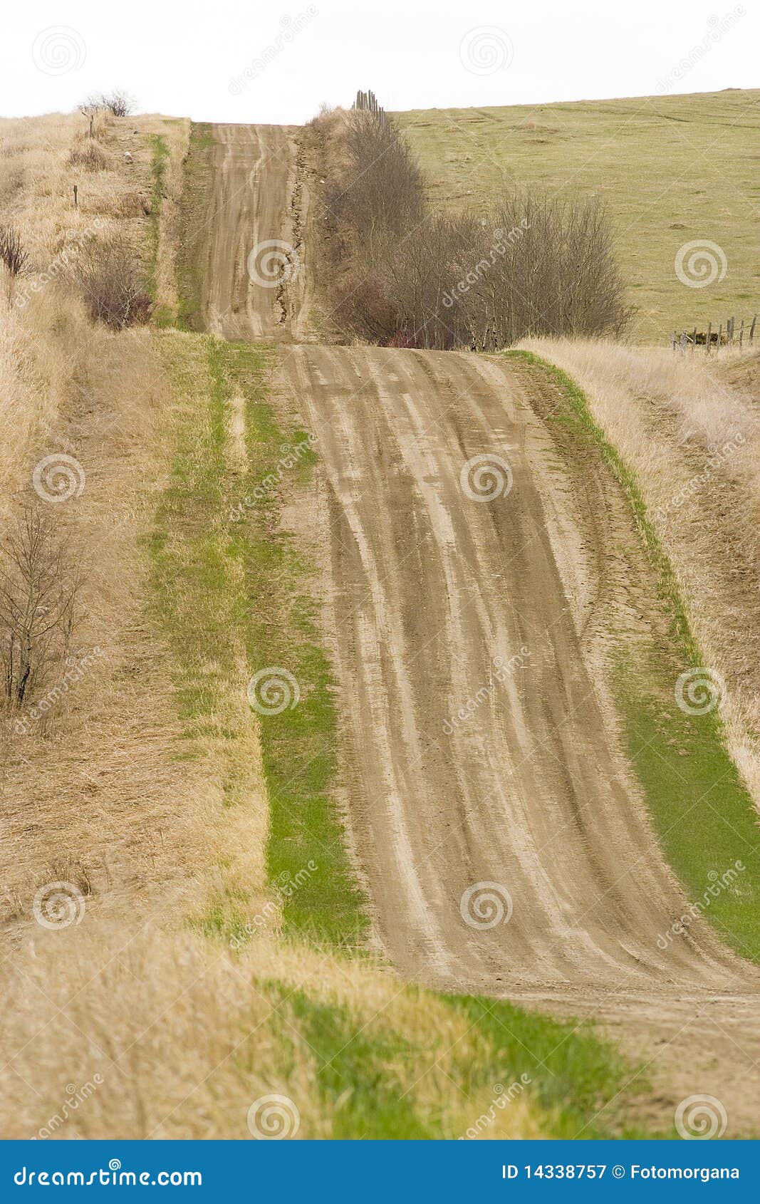 Dirt road stock image. Image of terrain, road, dirt, field - 14338757