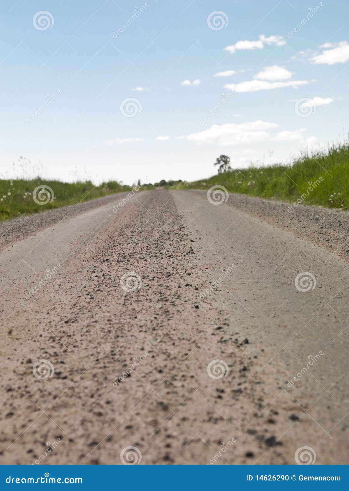 Dirt Road stock photo. Image of scenics, beauty, relaxation - 14626290