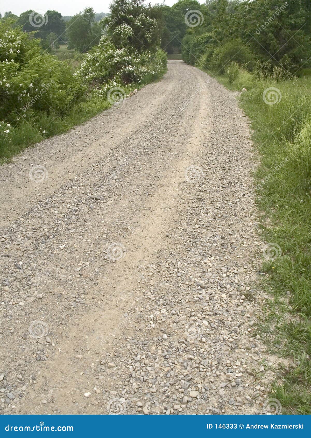 Dirt Road stock image. Image of lonely, rural, long, background - 146333