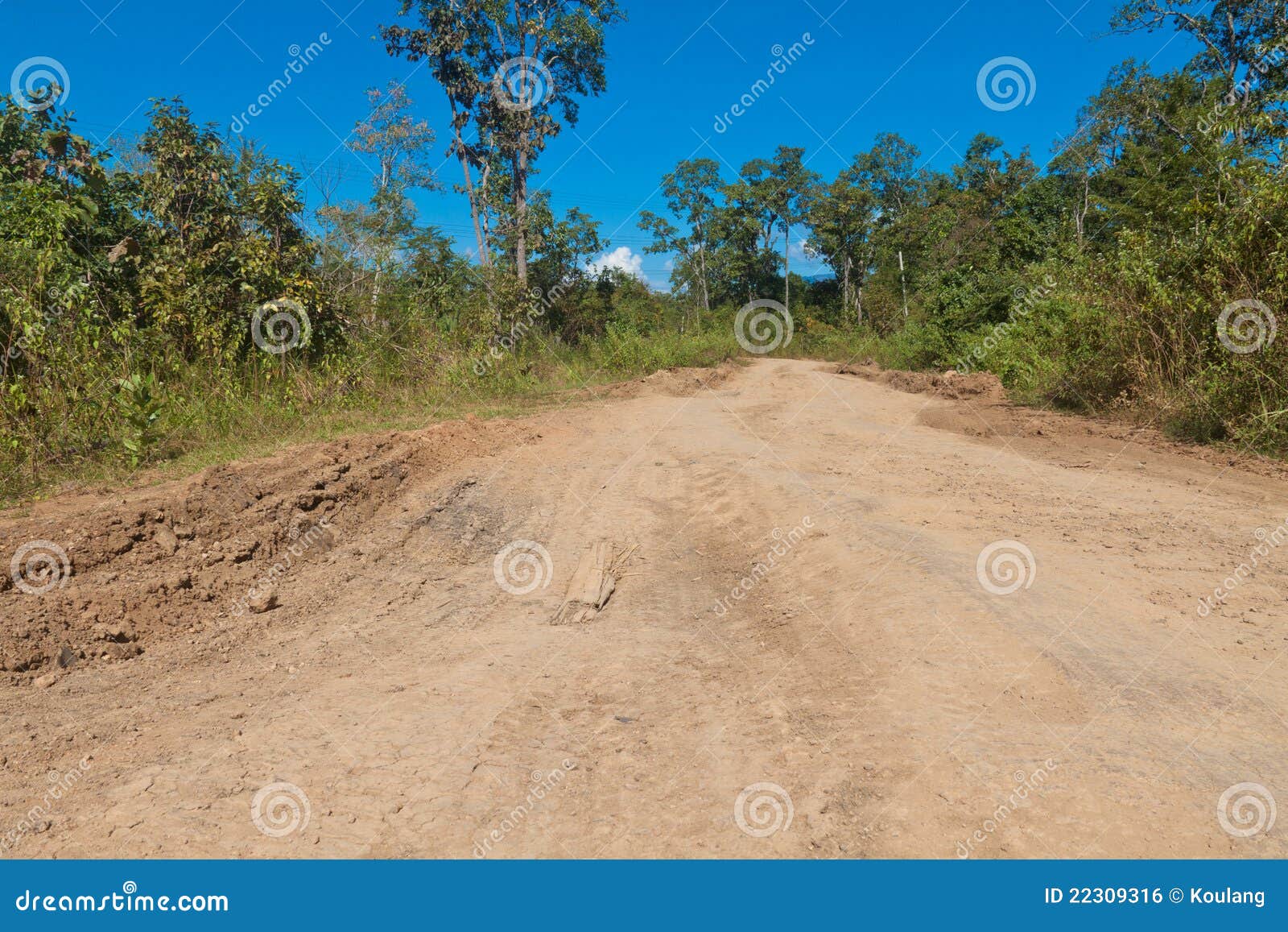 Dirt road stock photo. Image of bush, desert, outdoors - 22309316