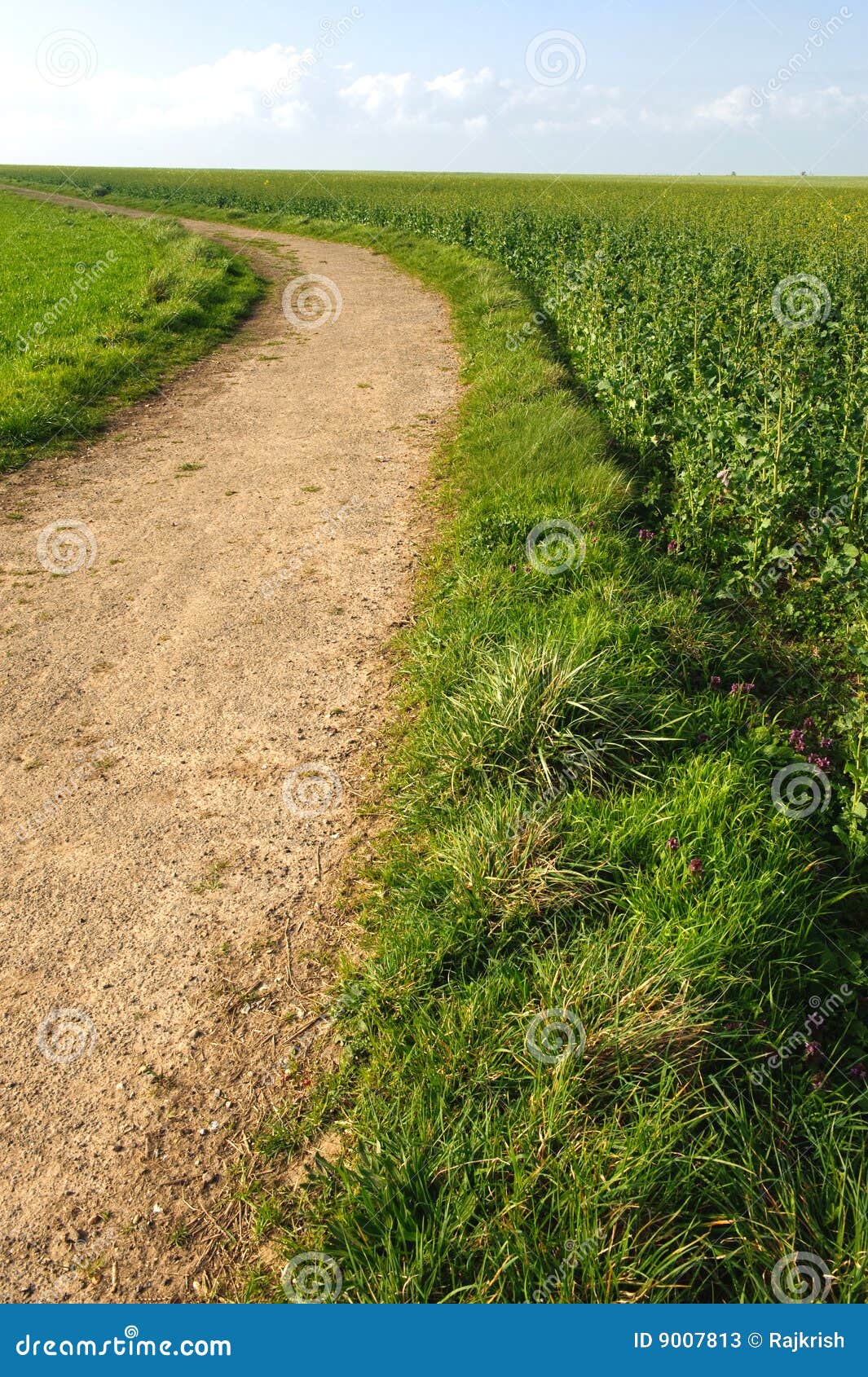 Dirt Road stock image. Image of clear, road, meadow, green - 9007813