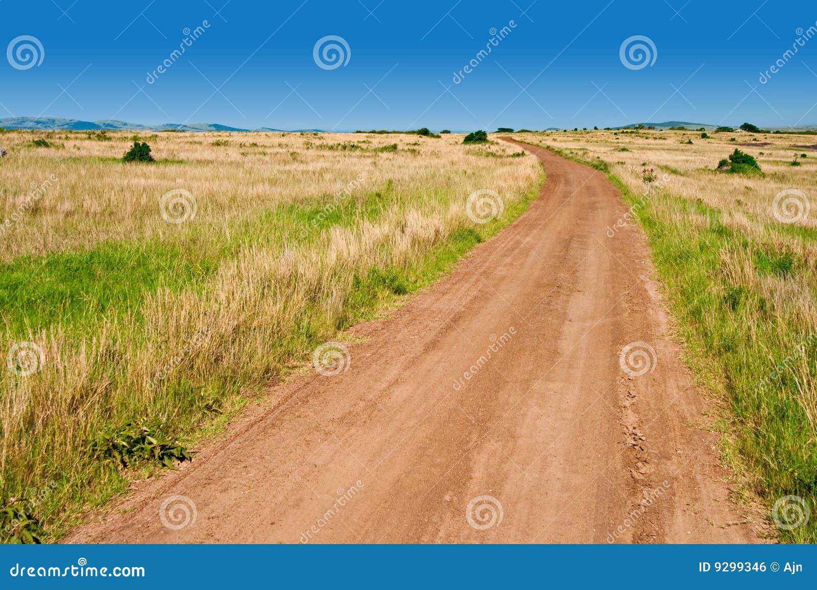 Dirt Road stock photo. Image of outdoors, beautiful, adventure - 9299346