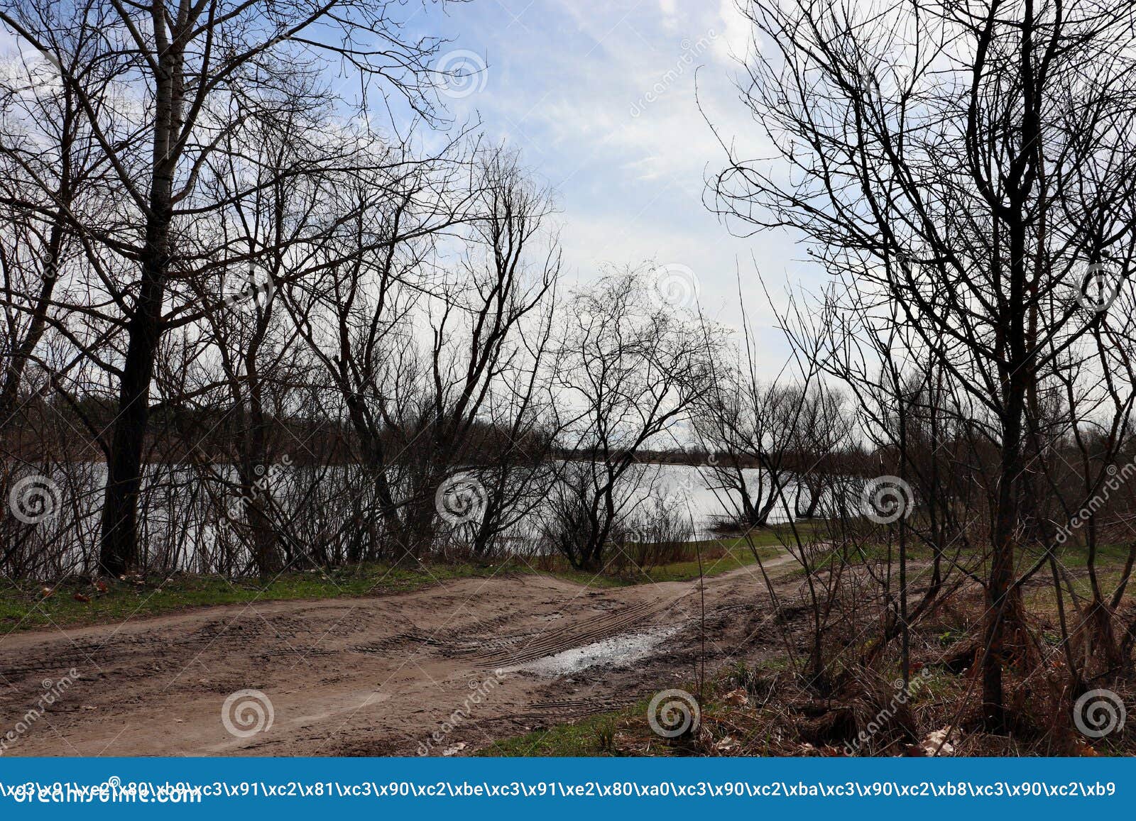 Dirt Road Along the River 1 Stock Image - Image of nature, leaf: 242538891
