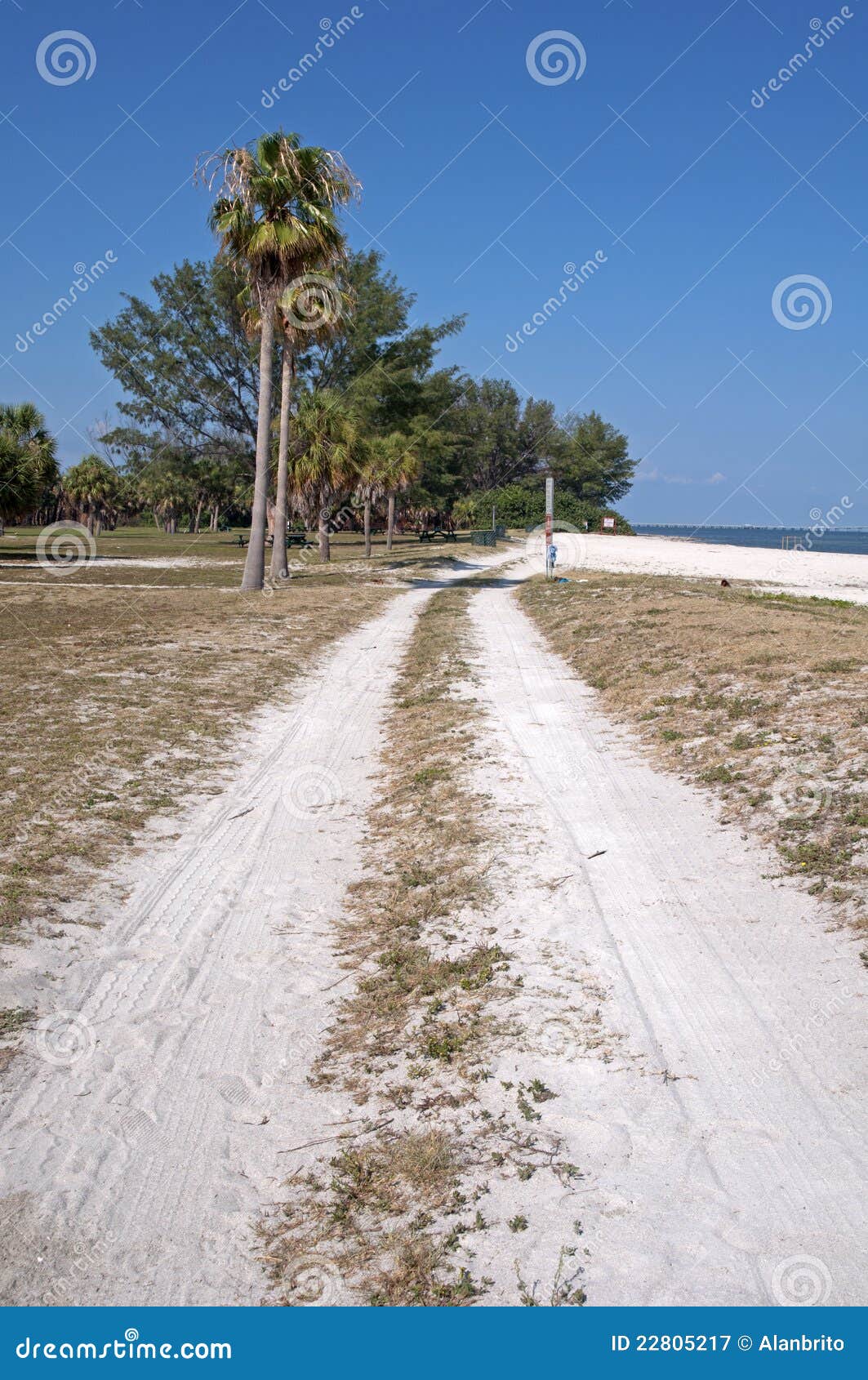 Dirt Road Alongside a Beach Stock Image - Image of beach, tranquil ...