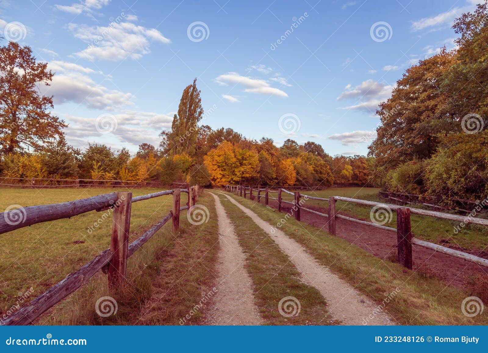 The Dirt Road Around the Horse Corral is Lined with Trees Stock Photo ...
