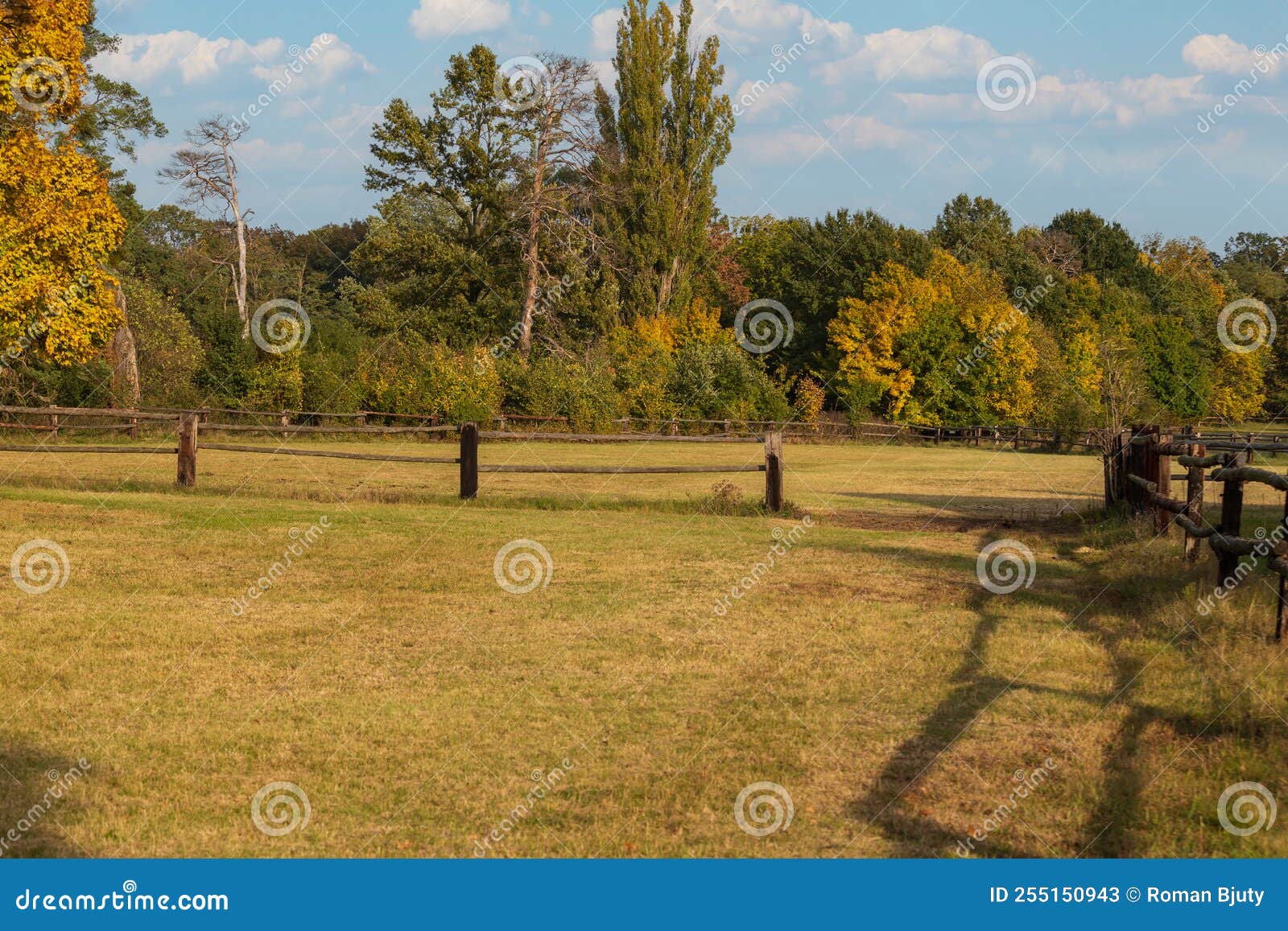 The Dirt Road Around the Horse Corral is Lined with Trees Stock Image ...