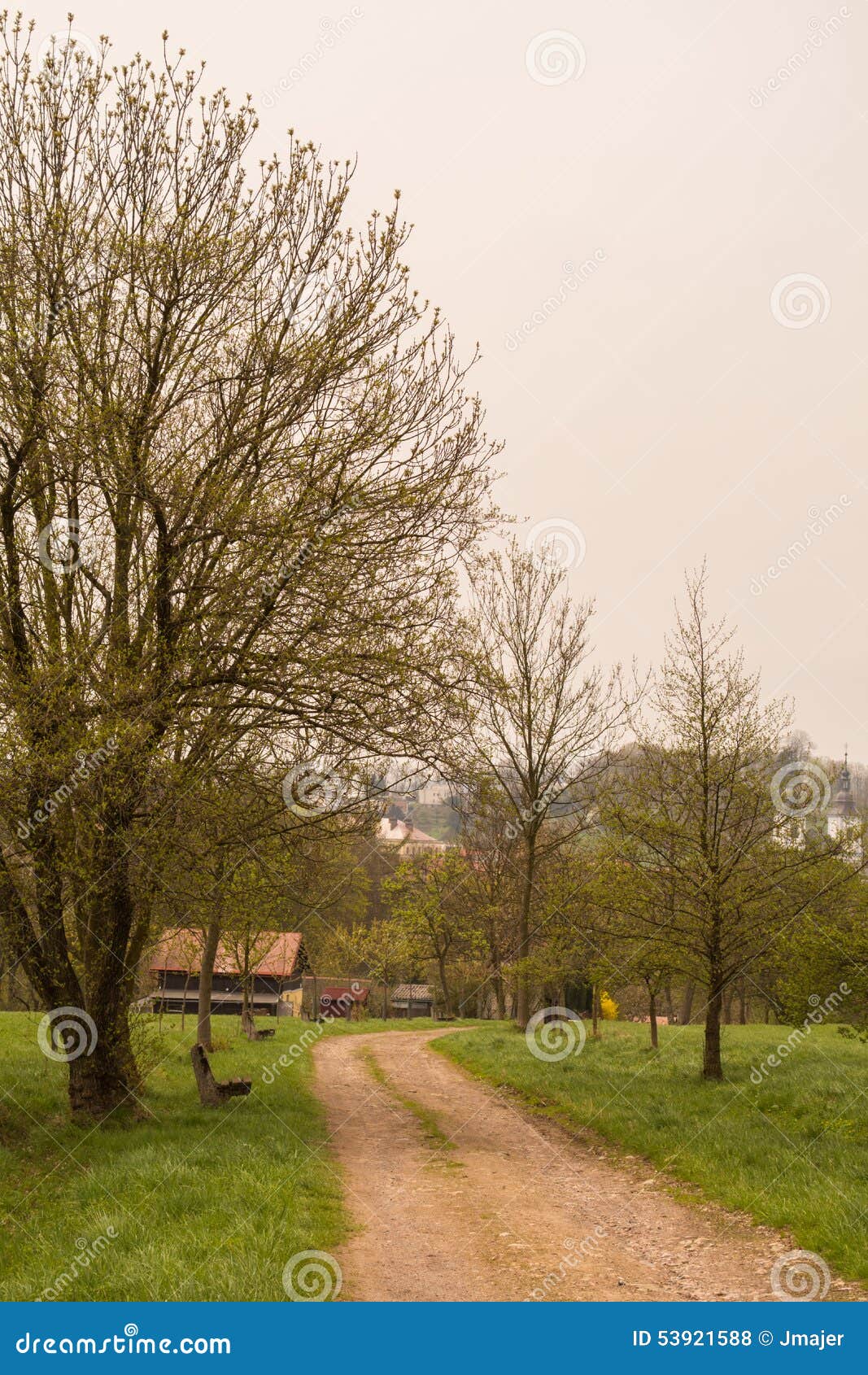 Dirt Road Around the Tree with Bench Stock Photo - Image of nature ...