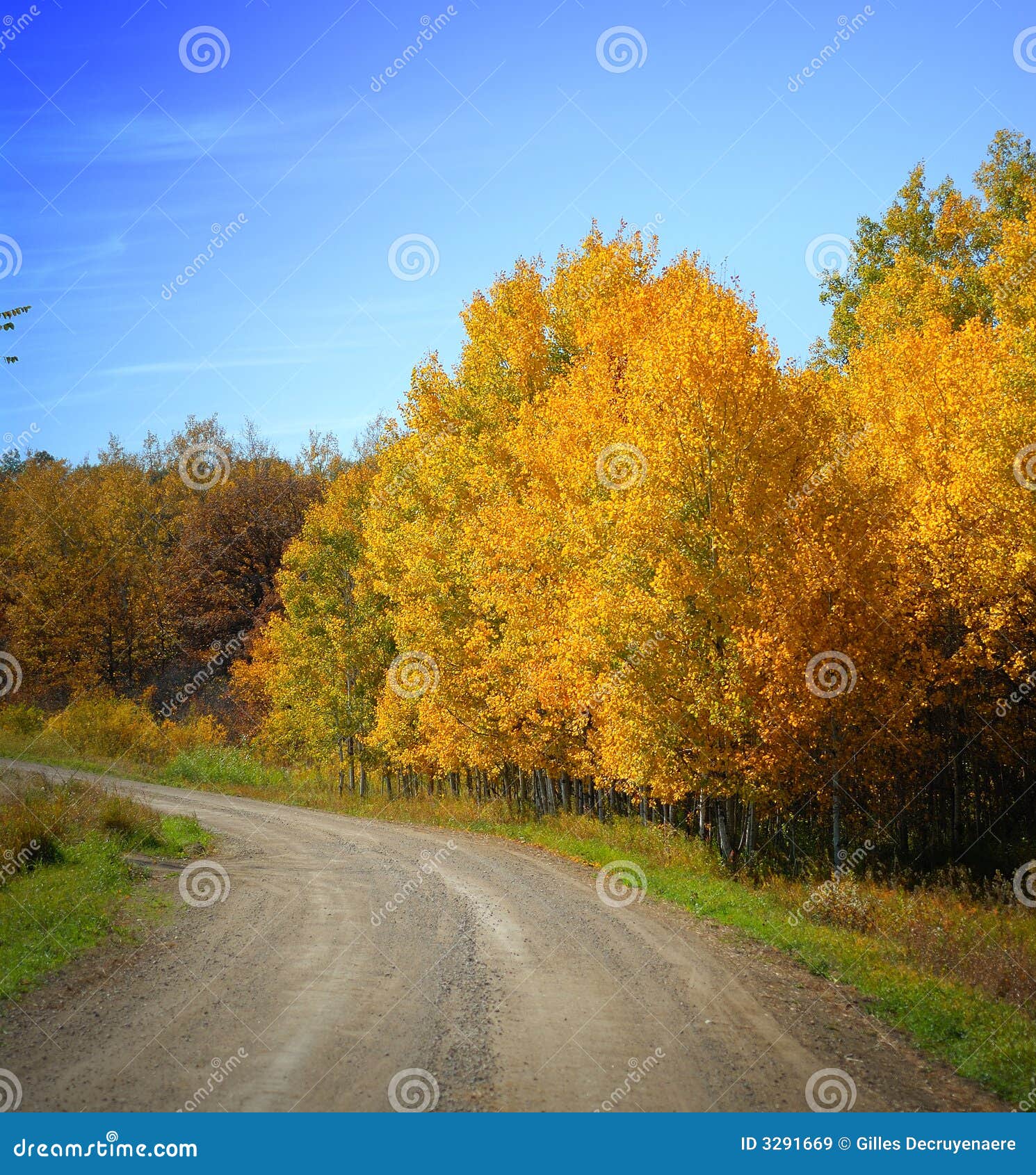 Dirt Road, Autumn Foliage, Sky Stock Image - Image of grass, leaf: 3291669