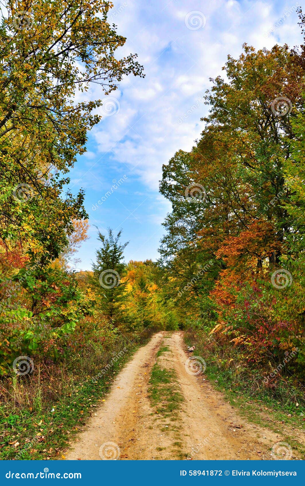 Dirt Road in the Autumn Forest Stock Photo - Image of country, fresh ...