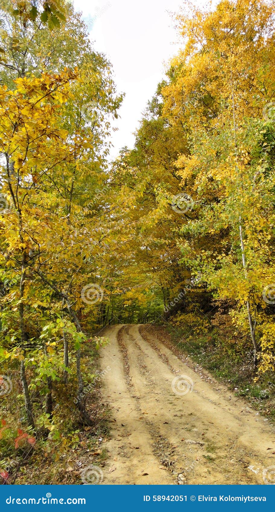 Dirt Road in the Autumn Forest Stock Image - Image of background ...