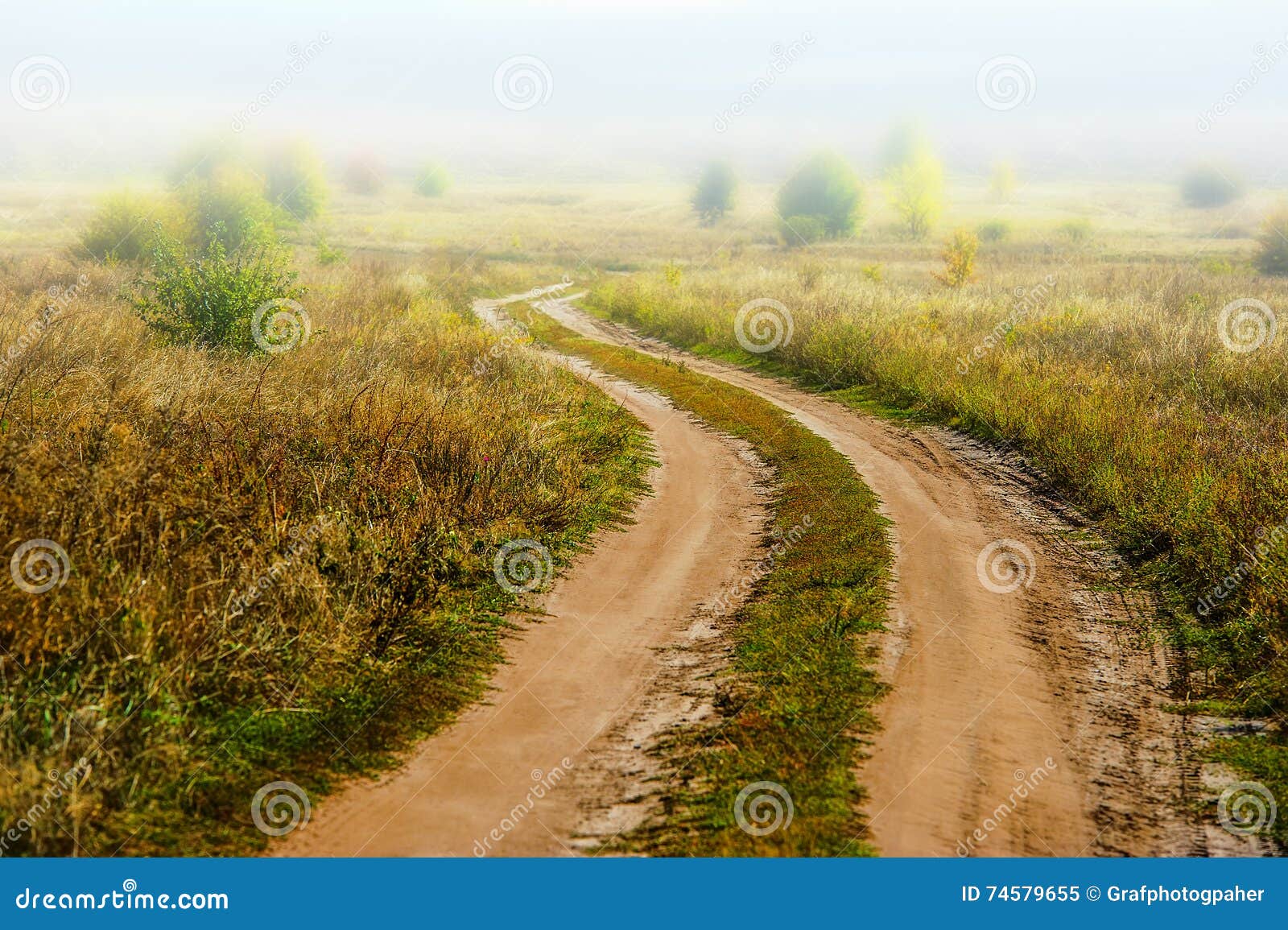 Dirt road stock image. Image of land, outdoor, park, morning - 74579655