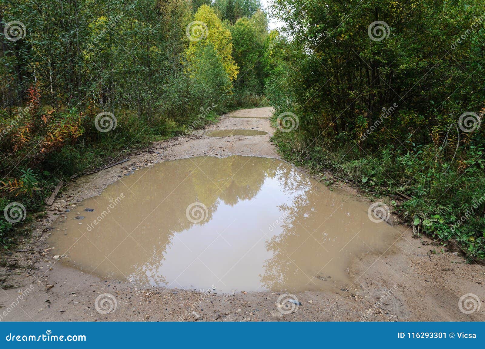 Dirt road with big puddles stock image. Image of travel - 116293301