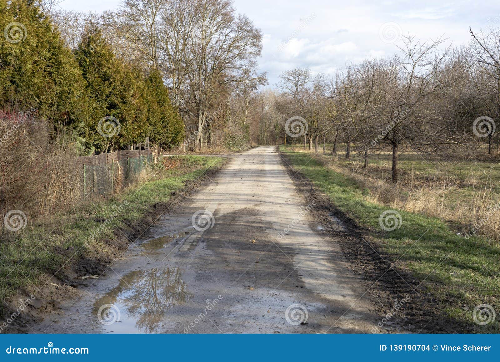 Dirt Road Crossing a Farm in Frankenthal - Germany Stock Photo - Image ...
