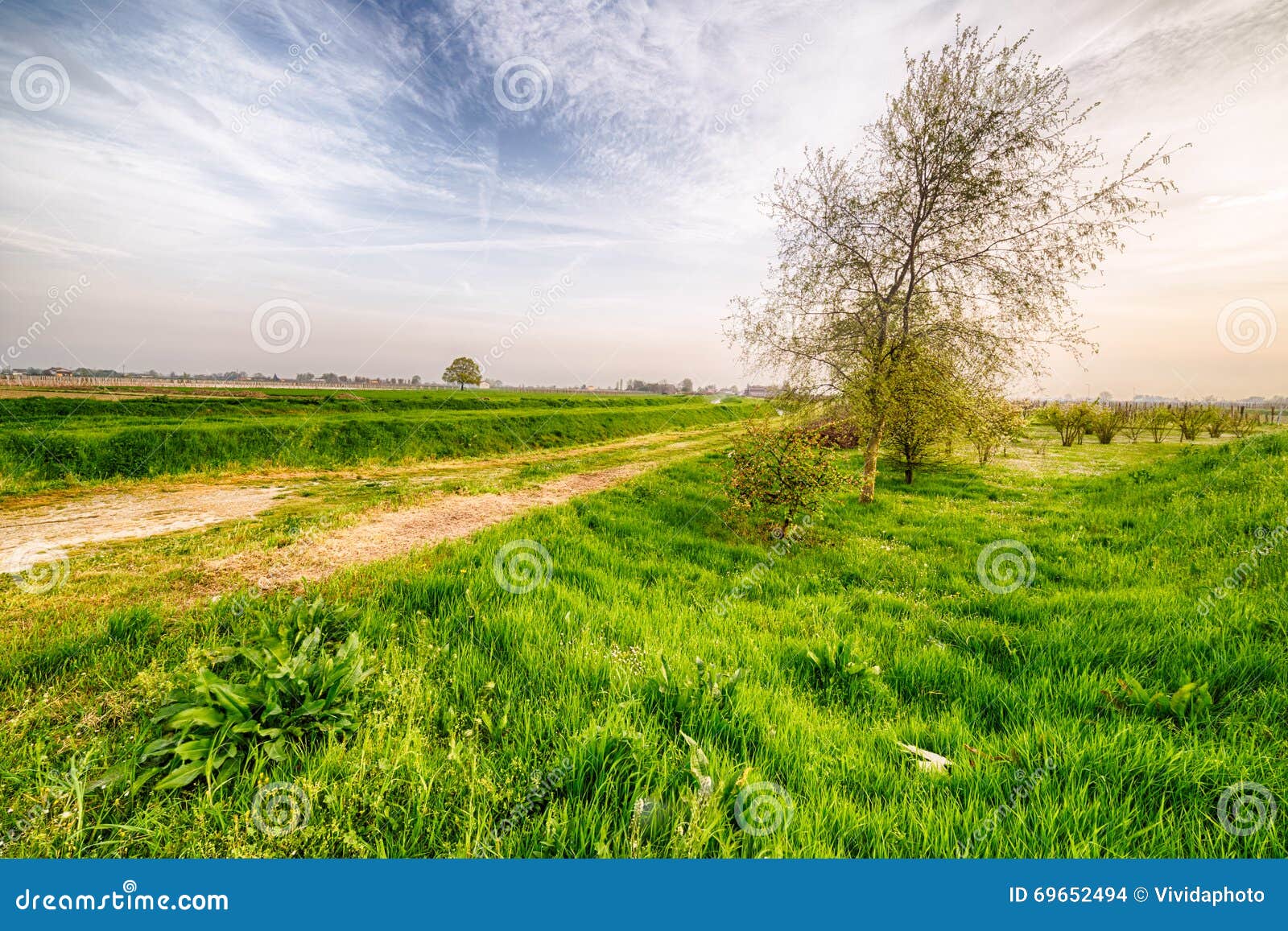 Dirt road crossing fields stock photo. Image of crossing - 69652494