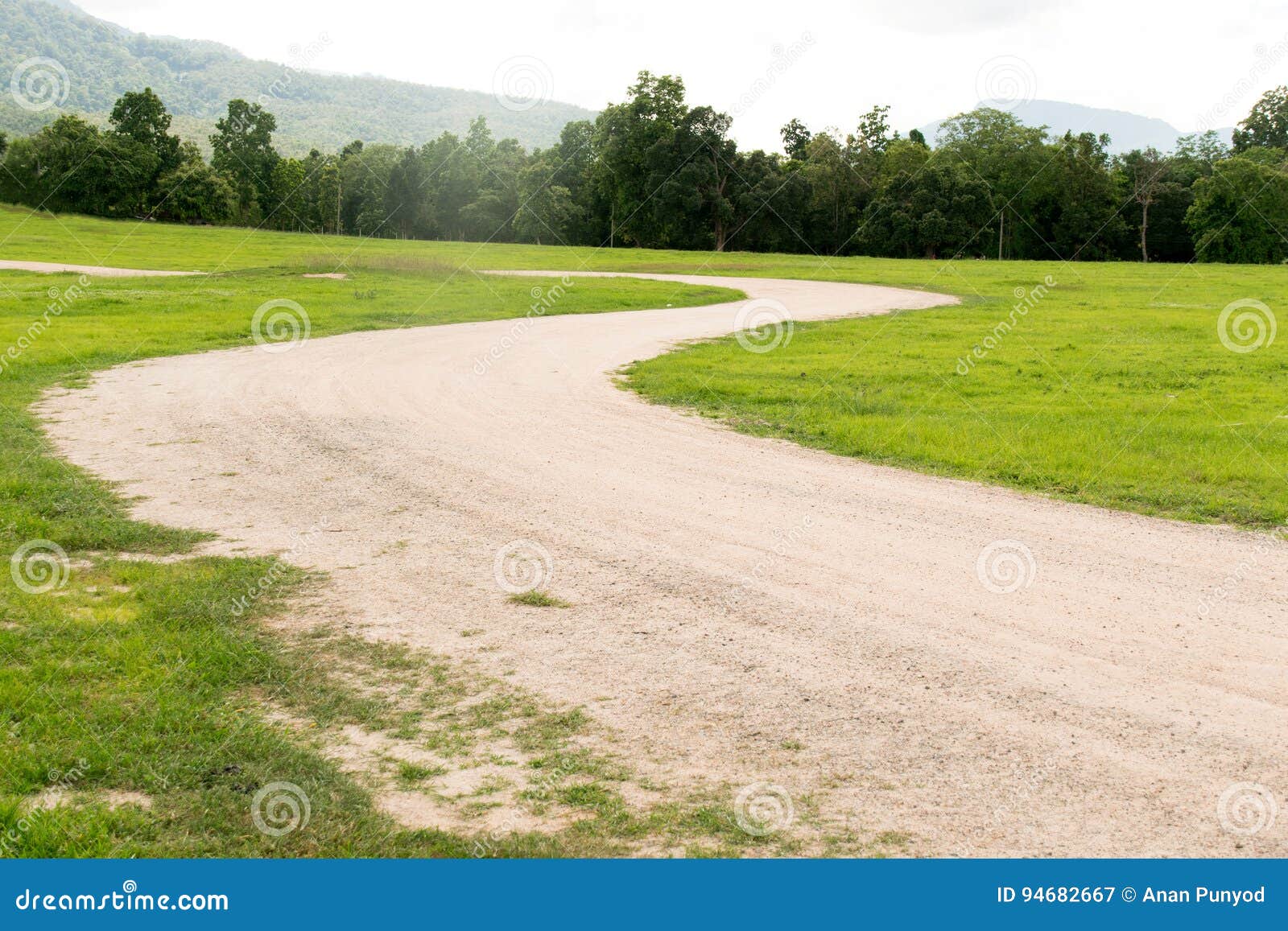Dirt Road Curve on Green Grass Park Stock Image - Image of track, pine ...