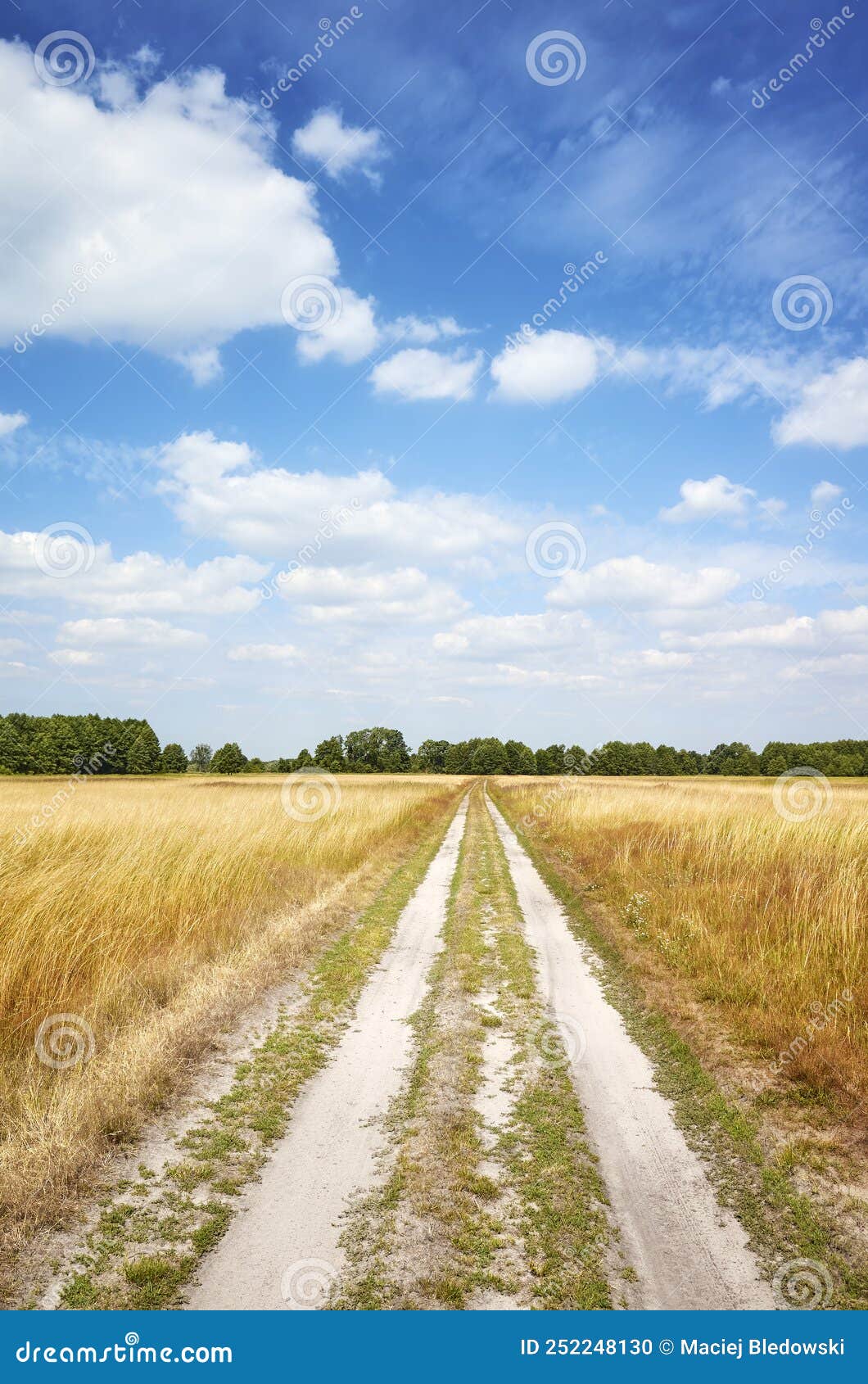 Dirt Road Cutting through a Meadow Stock Photo - Image of travel ...