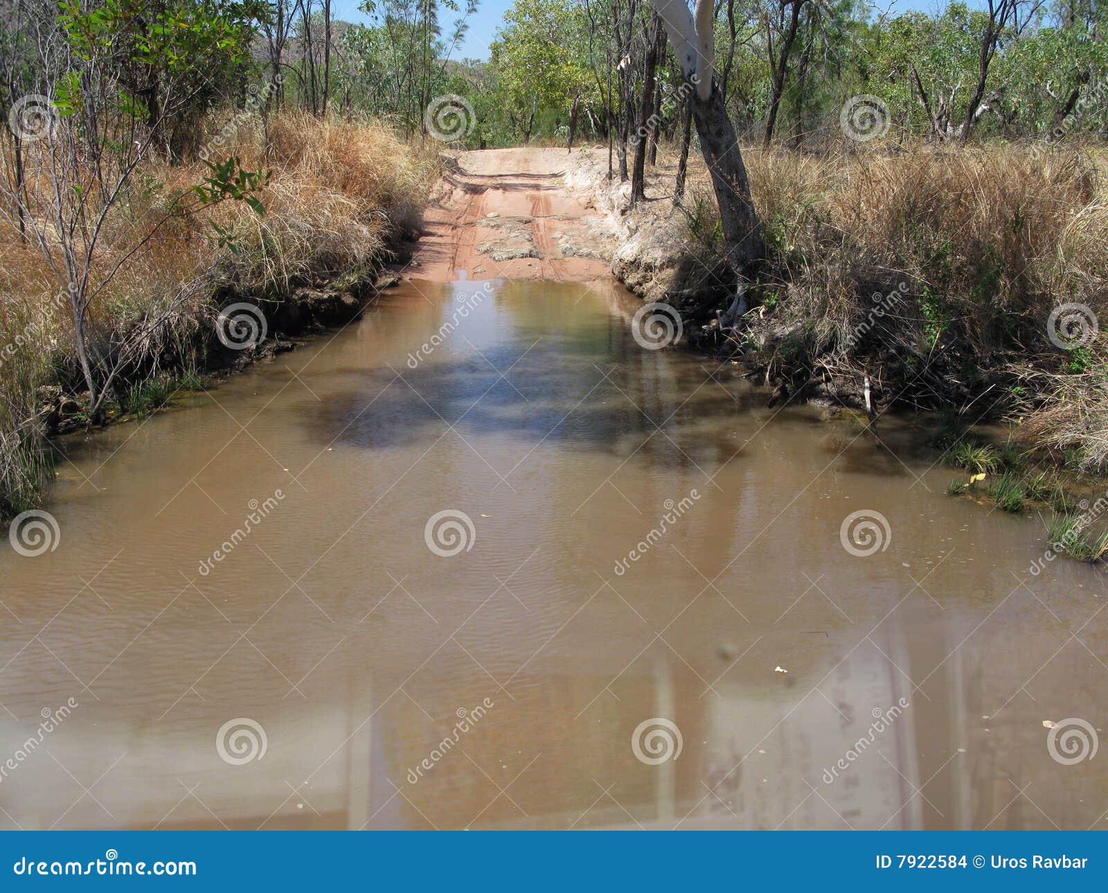 Dirt Road with a Deep Puddle Stock Photo - Image of puddle, questro ...