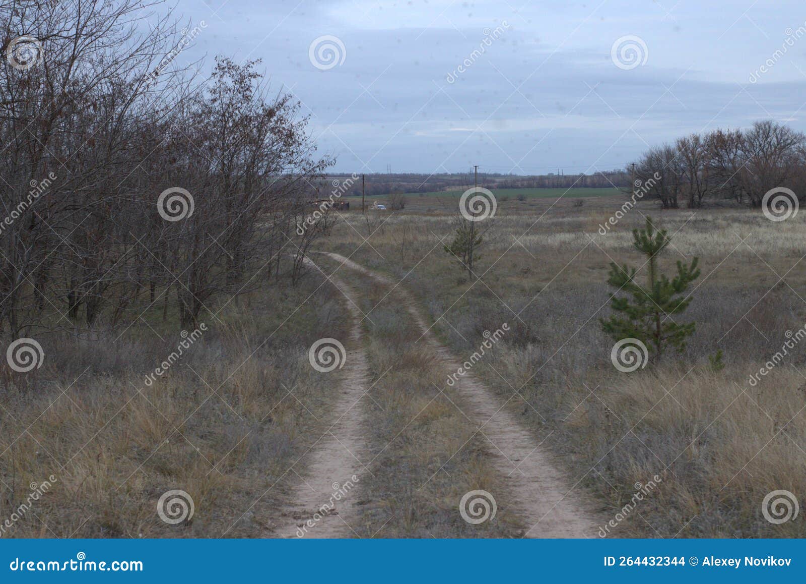 Dirt road stock photo. Image of prairie, dirt, transport - 264432344