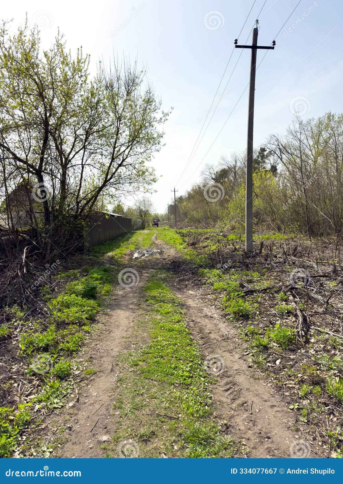 Dirt Road with Electric Poles in Spring Stock Image - Image of ...