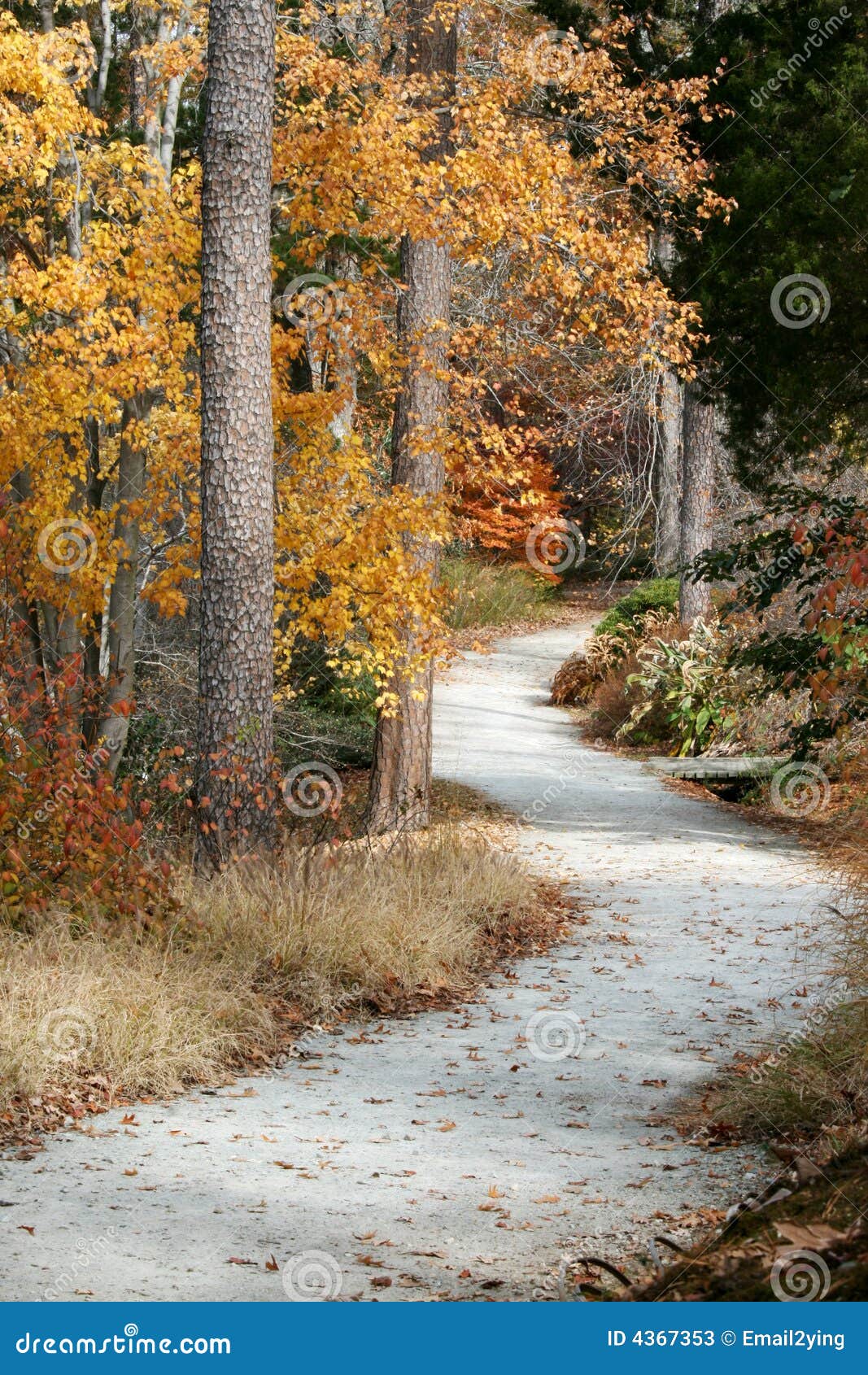 Dirt road in fall stock image. Image of footpath, dirt - 4367353